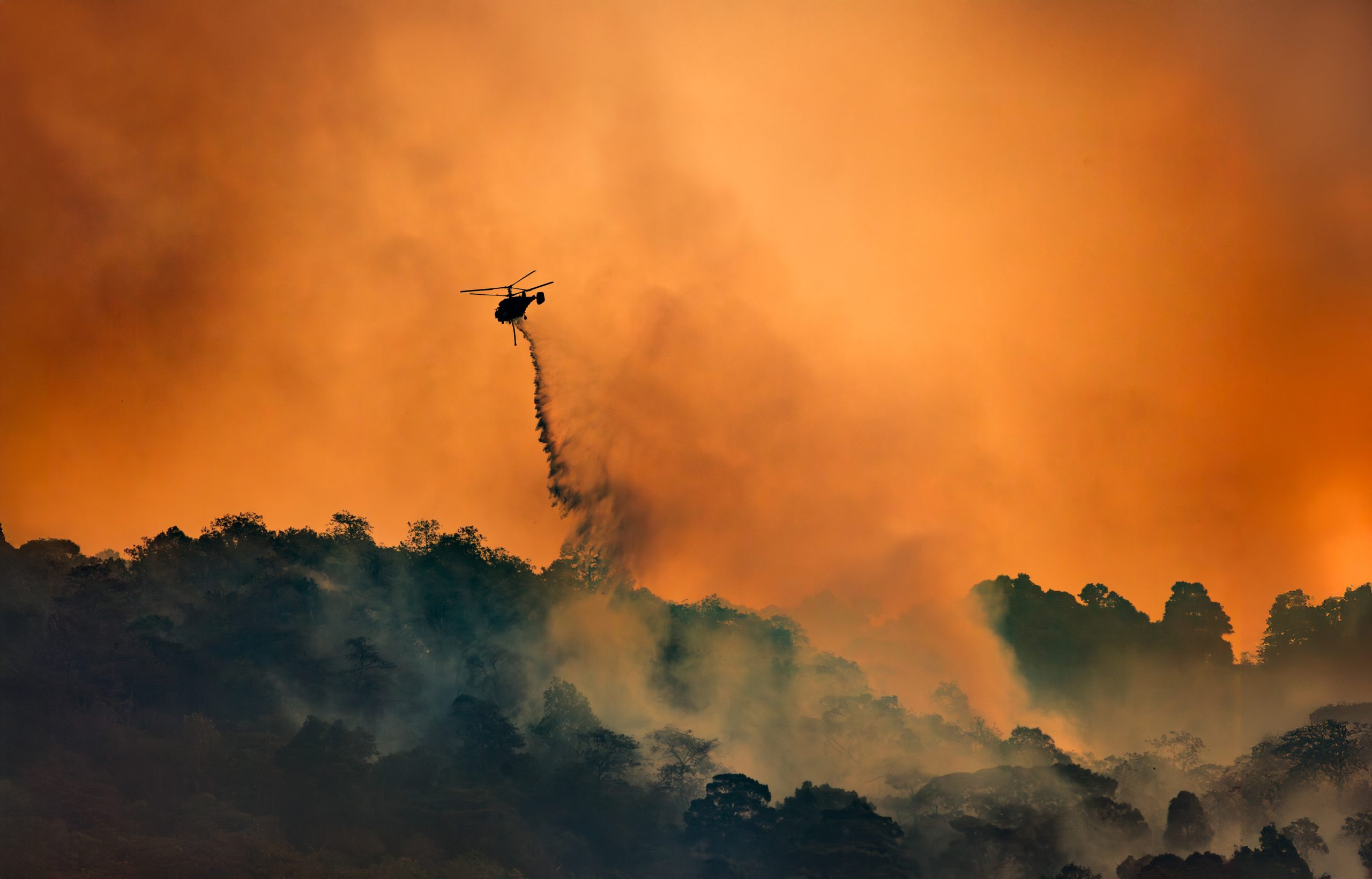 Los Angeles Times: LAFD did not alert DWP to more than 1,000 fire ...